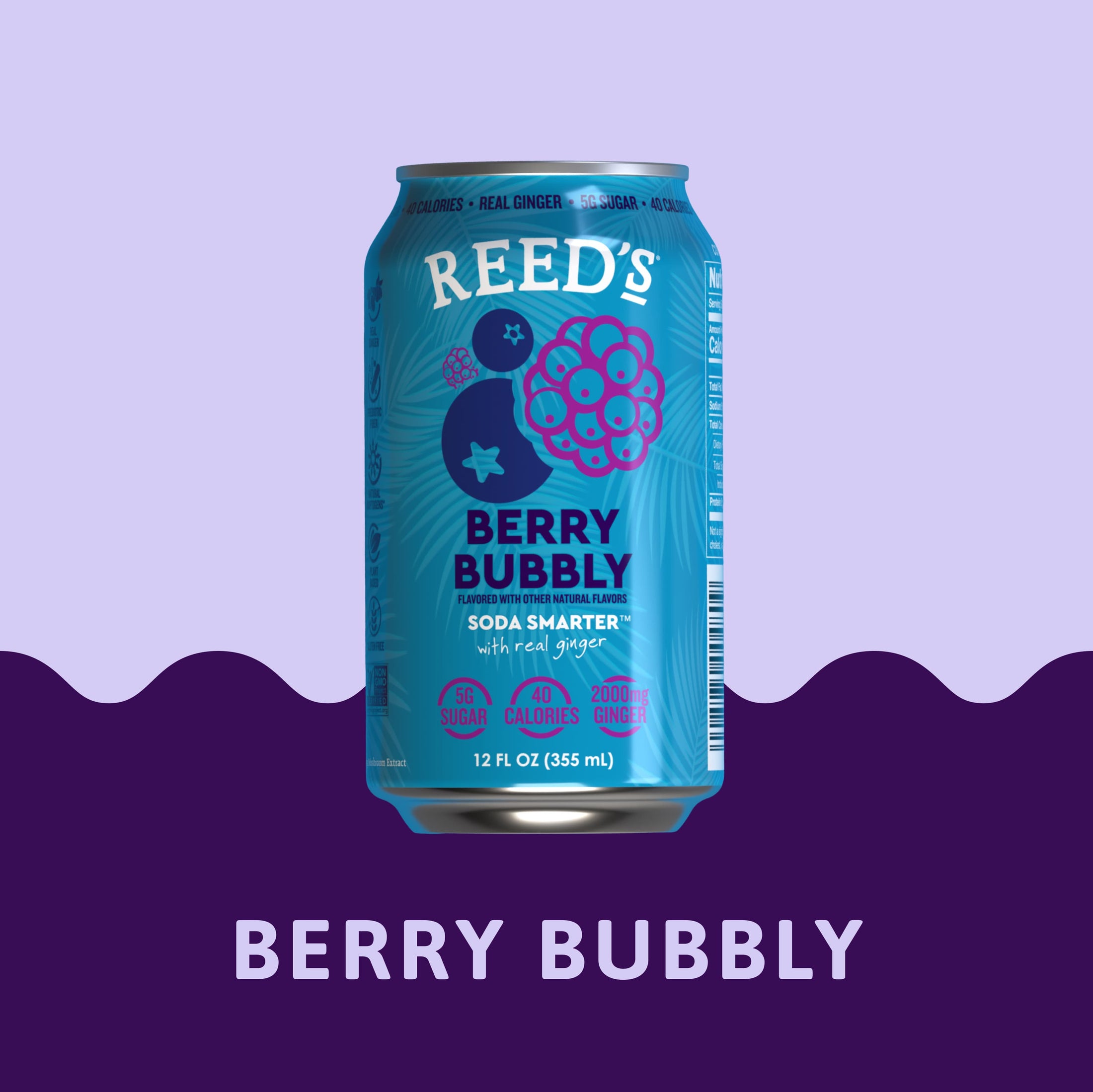 Reed's Ginger Ale & Ginger Beer Soda Products – Reed's Inc.