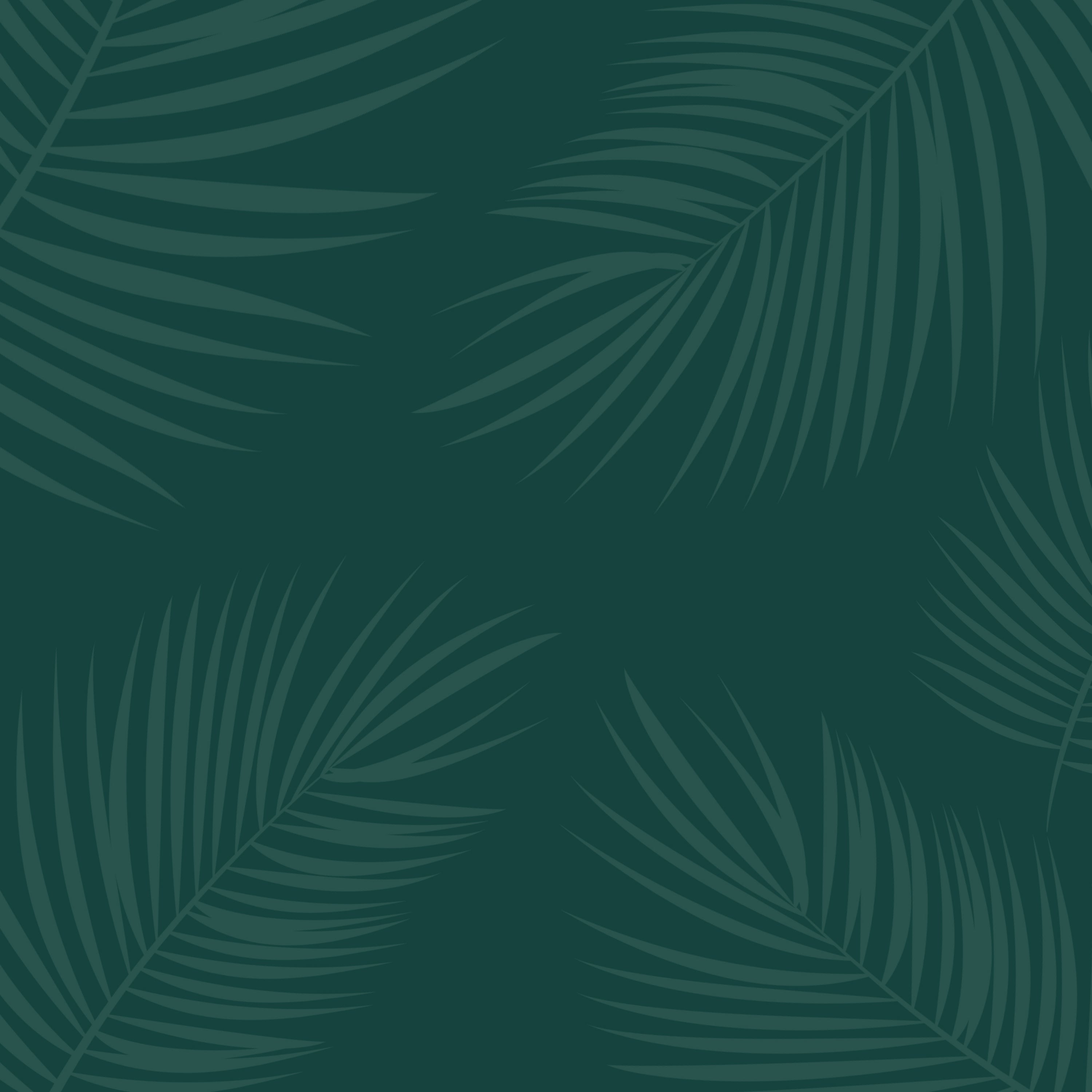 Reeds Ginger Beer Landing Page – Reed's Inc.