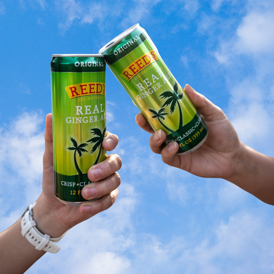 Reeds Ginger Ale Landing Page – Reed's Inc.